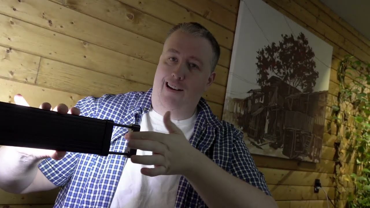 How To Help Mama Raised Kittens Thrive How And When To Step In