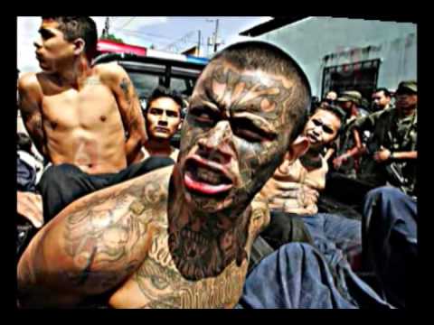 La Evolucion De Las Pandillas En Estados Unidos Angela Tcs Youtube