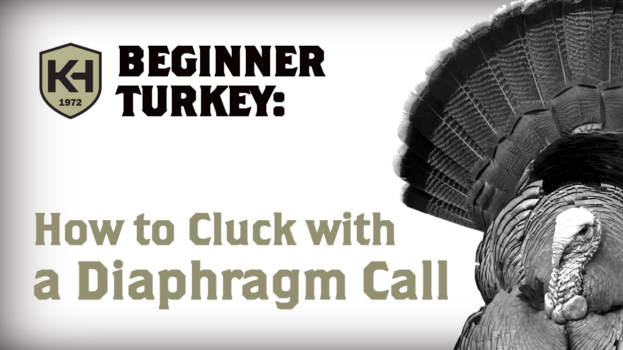 Turkey Diaphragm Call Orientation At Alexis Hoff Blog