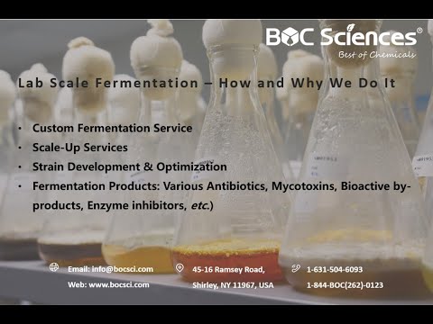 Lab Scale Fermentation How And Why We Do It Boc Sciences Youtube