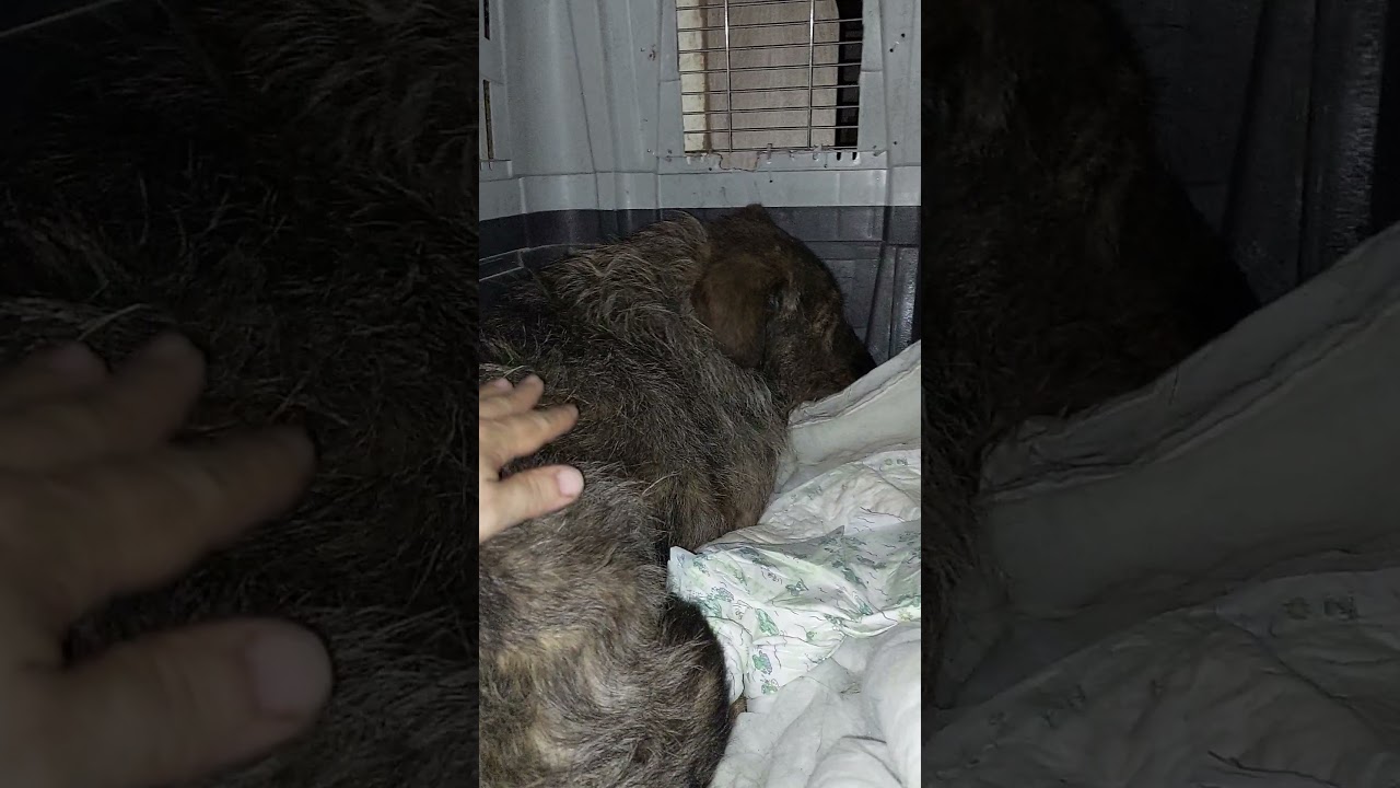 11223344556677 Youtube