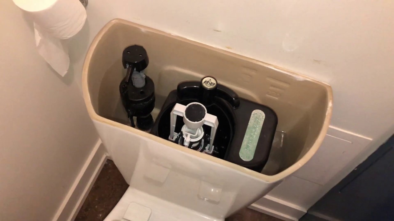 Hennessy And Hinchcliffe Toilet Overview Youtube