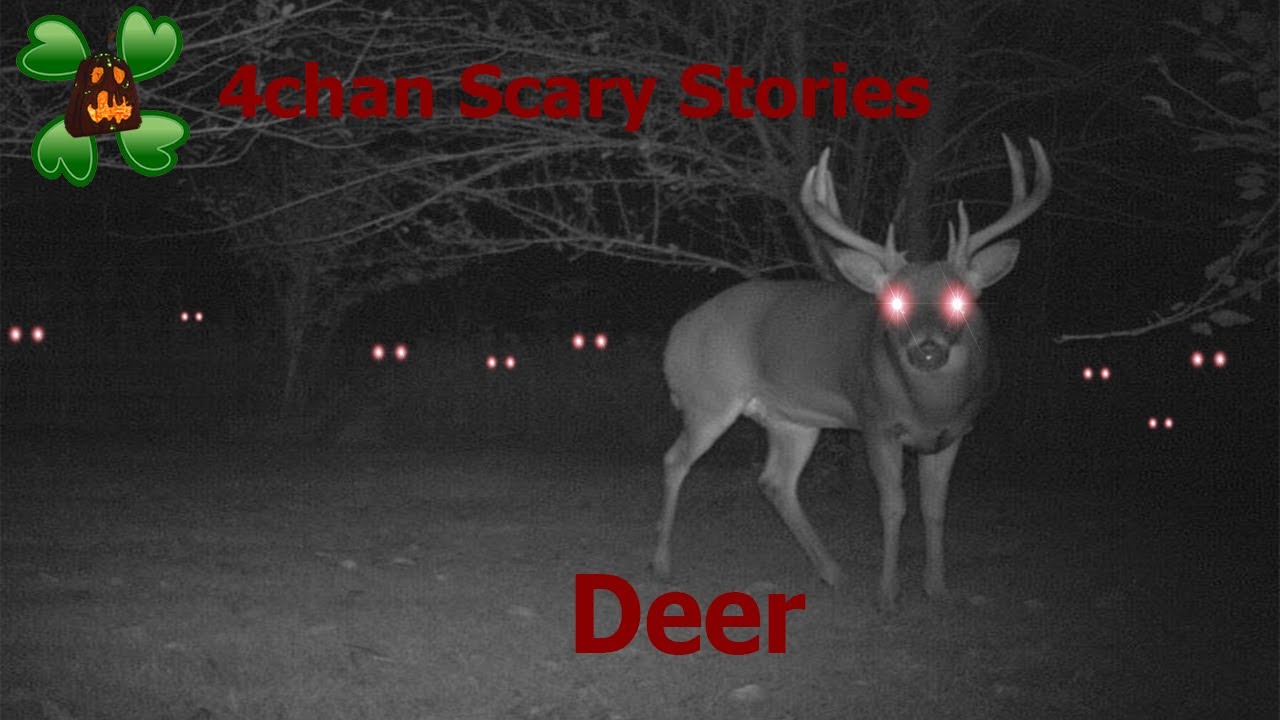 4chan Scary Stories Deer Youtube