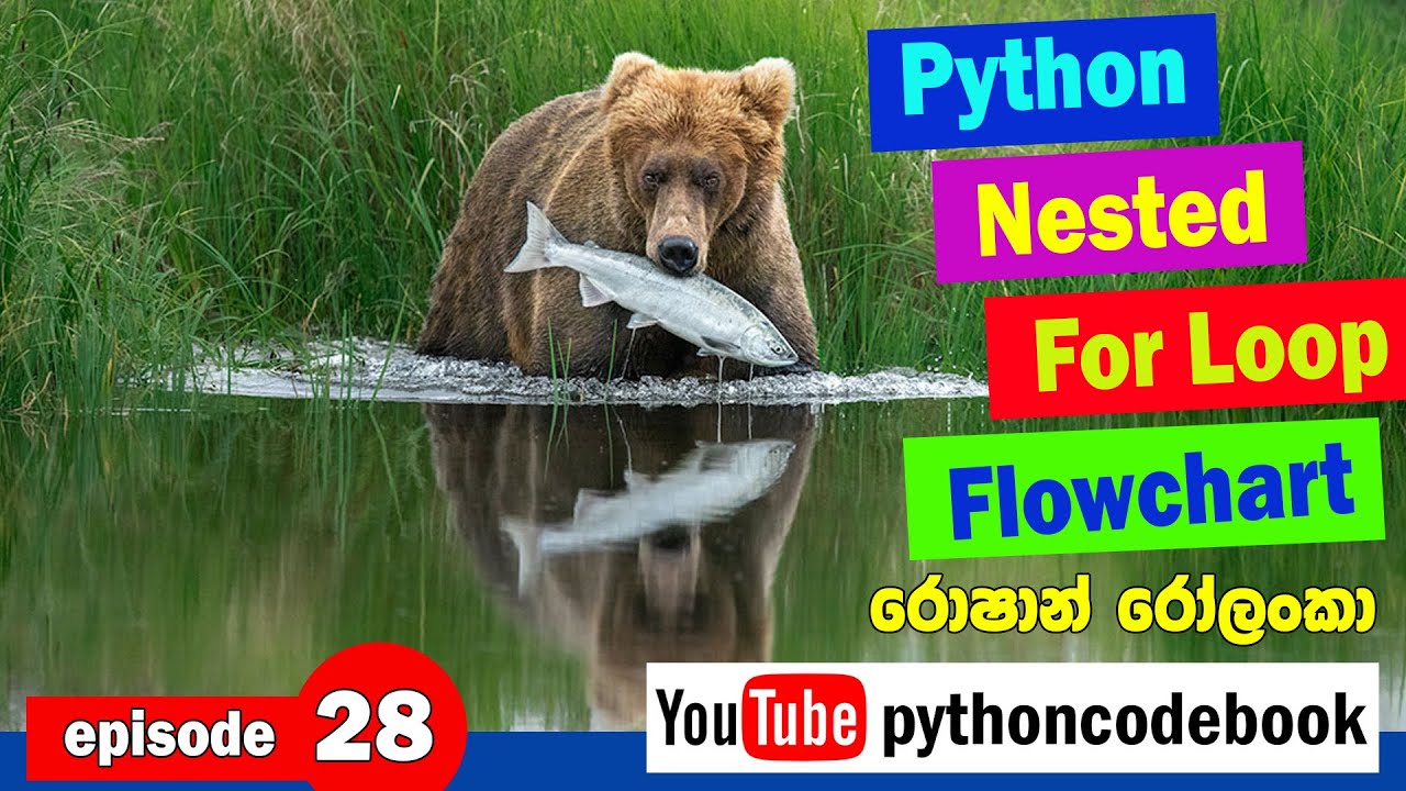 Episode 28 Python Nested For Loop Flowchart Sinhala Youtube