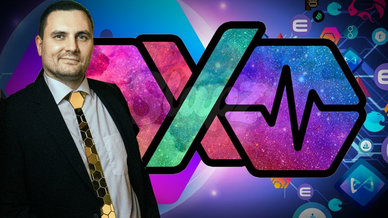 Pulsechain Ecosystem Overview Youtube