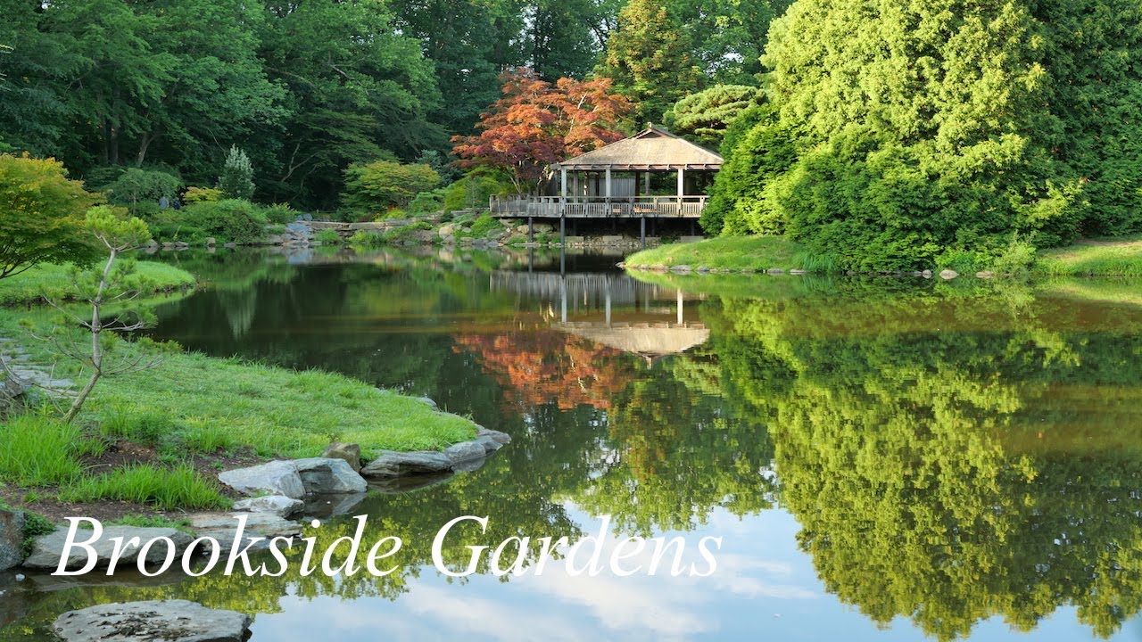 Brookside Gardens Silver Spring Maryland Youtube