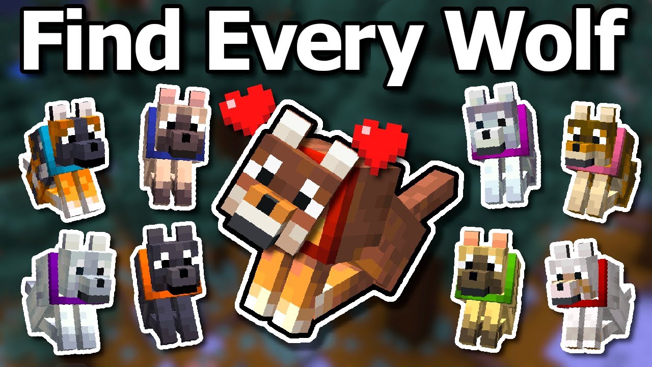How To Find Every Wolf In Minecraft 1 21 Youtube