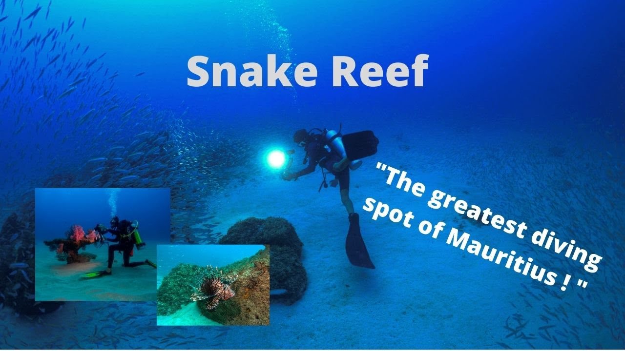 Scuba Diving Mauritius Sundiver Youtube