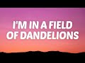 Ruth B Dandelions Lyrics I M In A Field Of Dandelions Aminium Music Mp3 ...