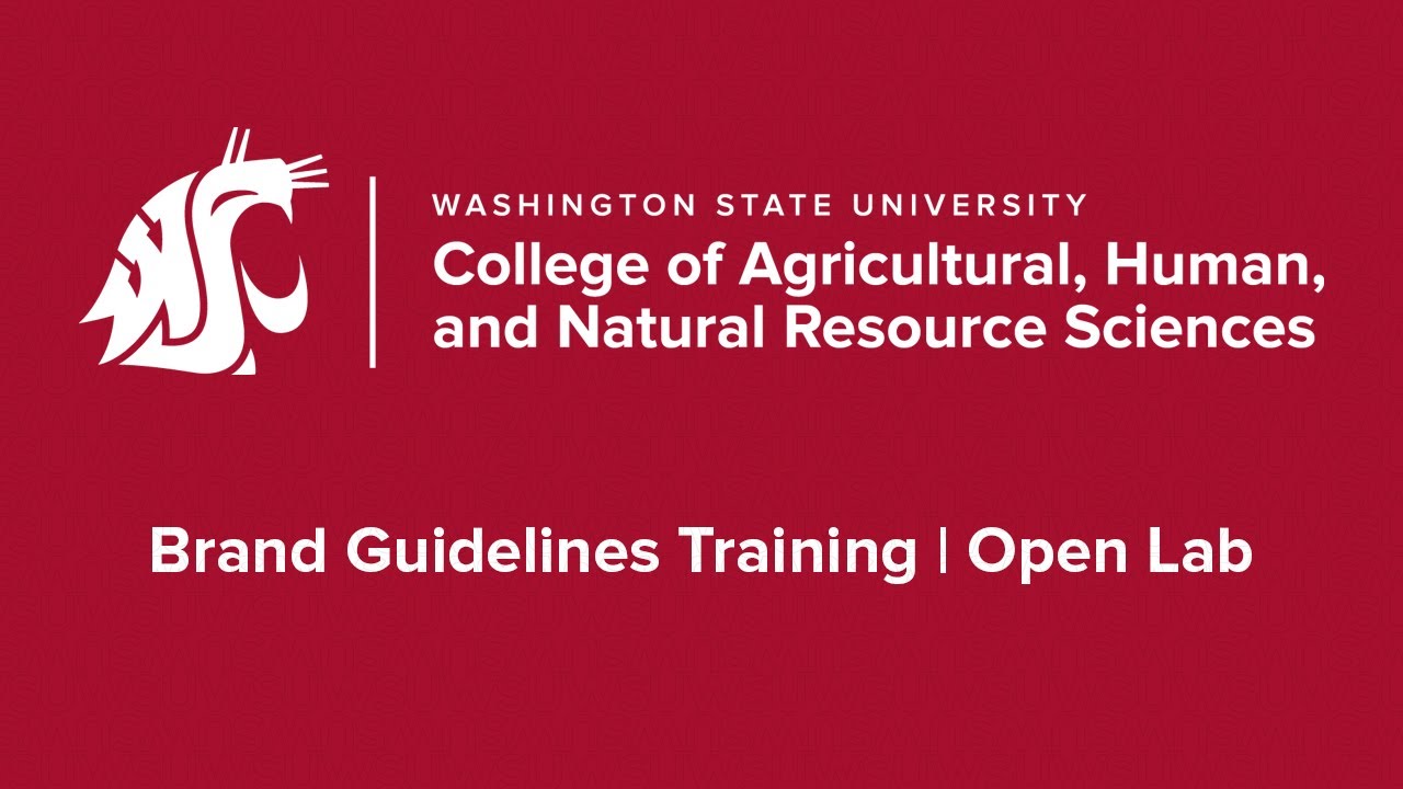 Wsu Brand Guidelines Training Youtube