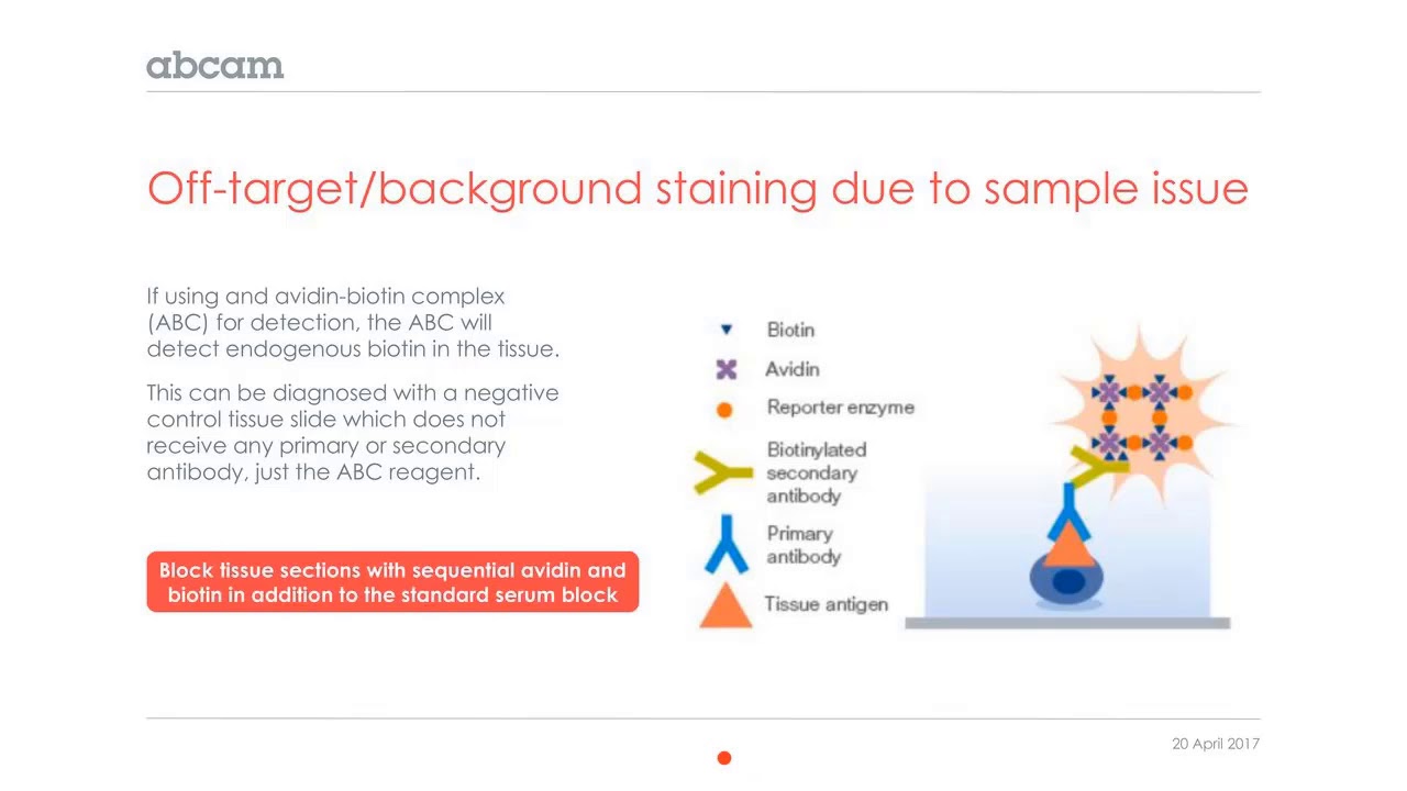 Ihc Troubleshooting Off Target Background Staining Youtube