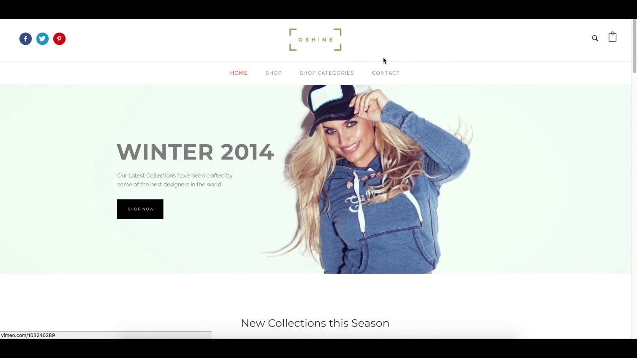 Oshine Wordpress Theme Installation Customisation Demo Youtube