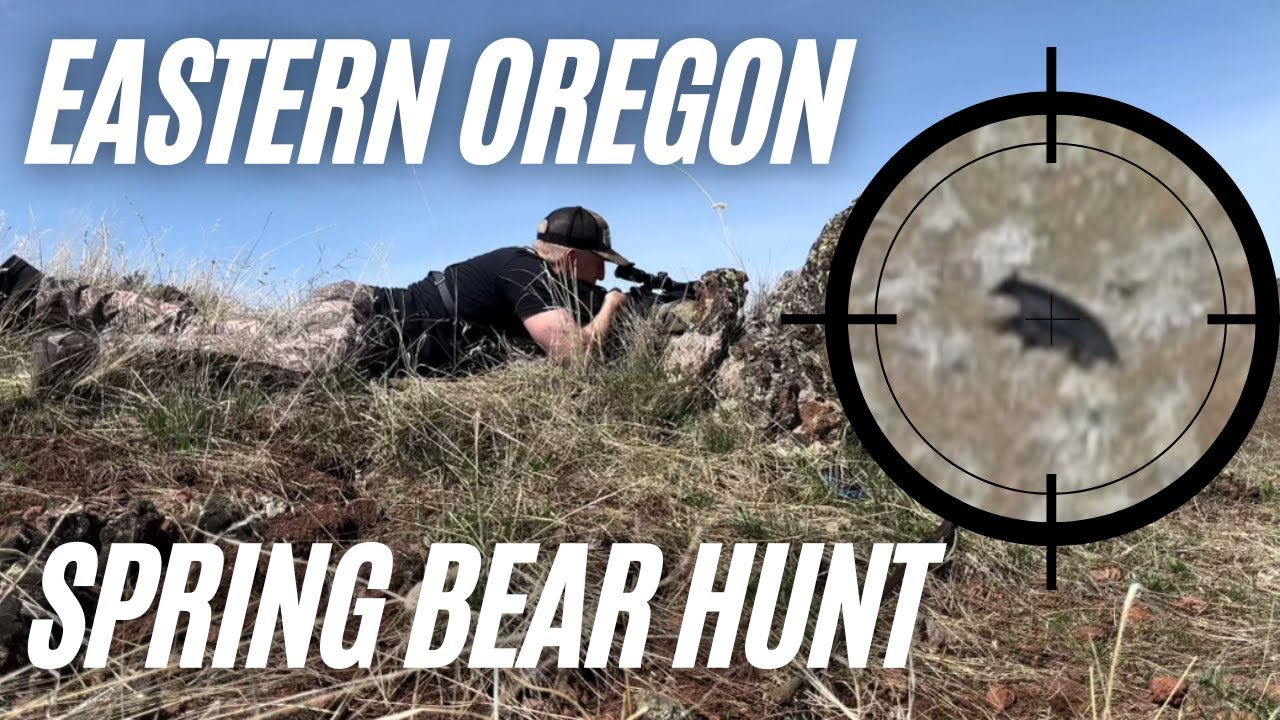Day 2 Bear 2 2023 Oregon Spring Bear Hunt Part 2 Youtube