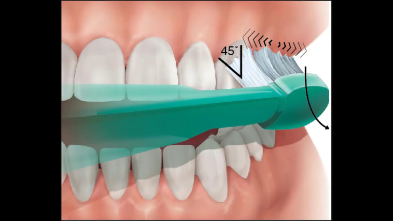 Brushing Technique Youtube