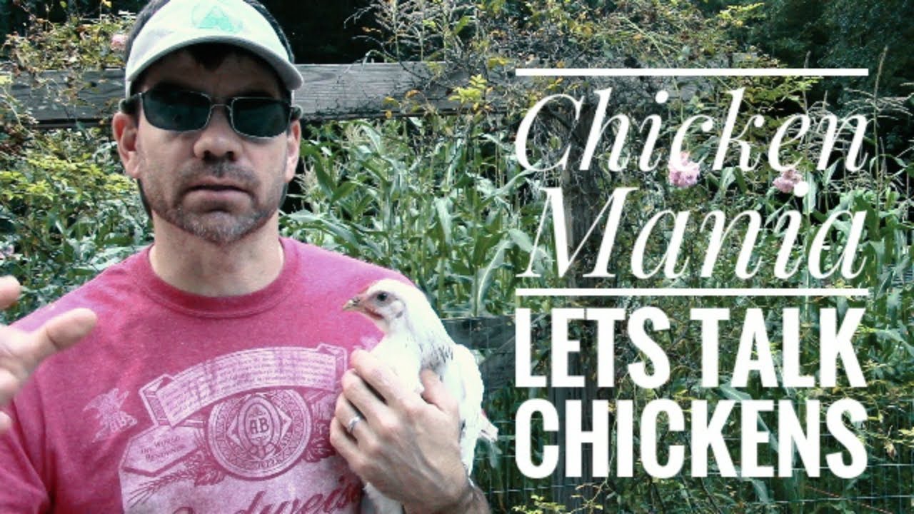 Raising Chickens 101 Youtube