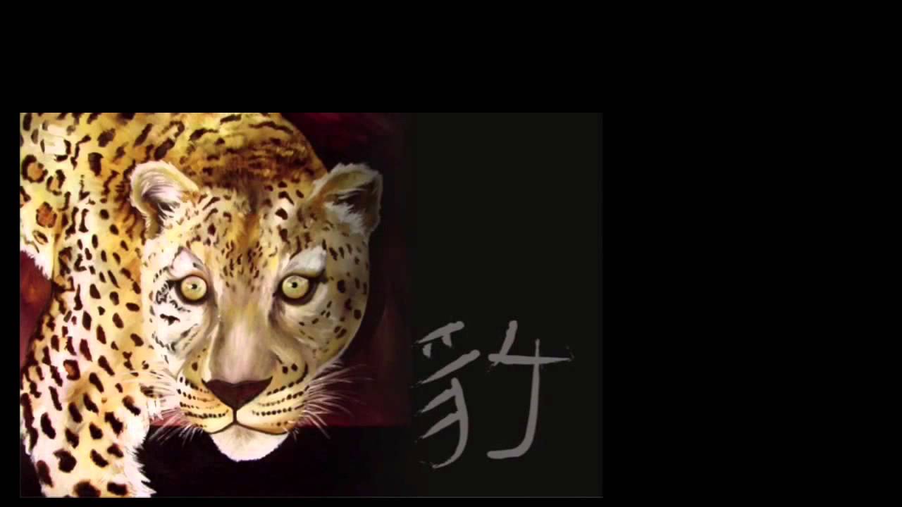 Animals2 Youtube