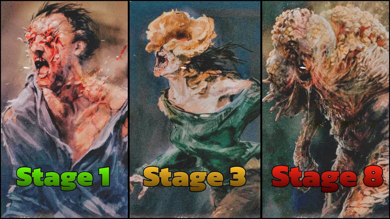 Every Stage Of Cordyceps Infection Explained In 12 Minutes Youtube