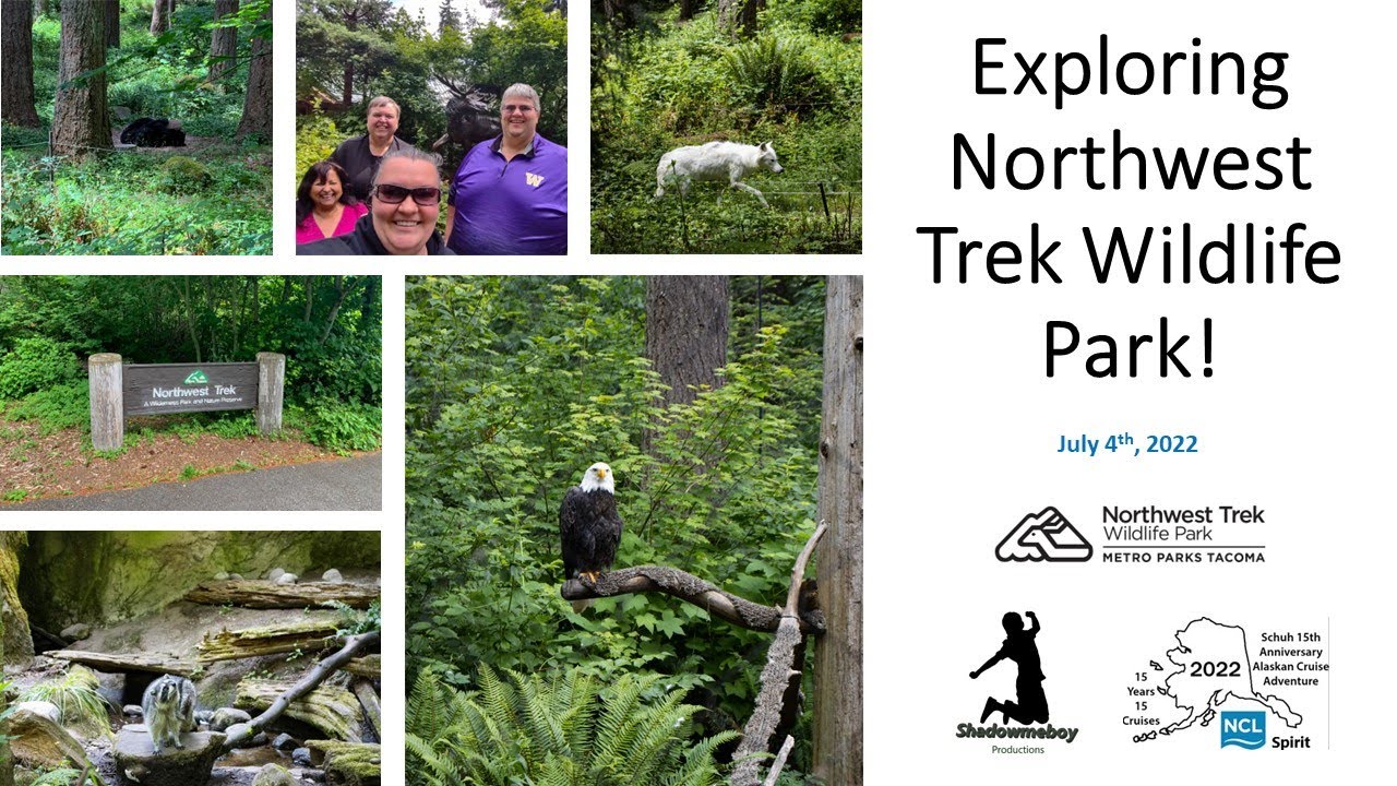 Exploring Northwest Trek Wildlife Park Youtube