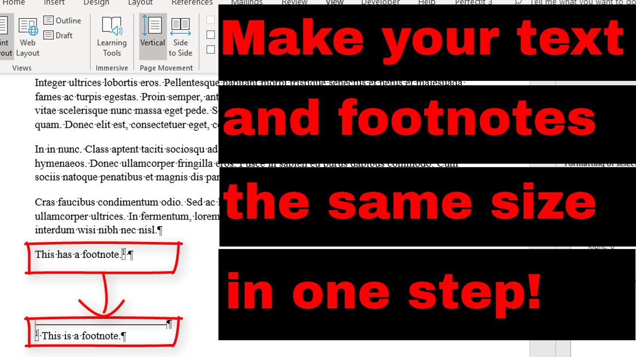 Footnote Font Size