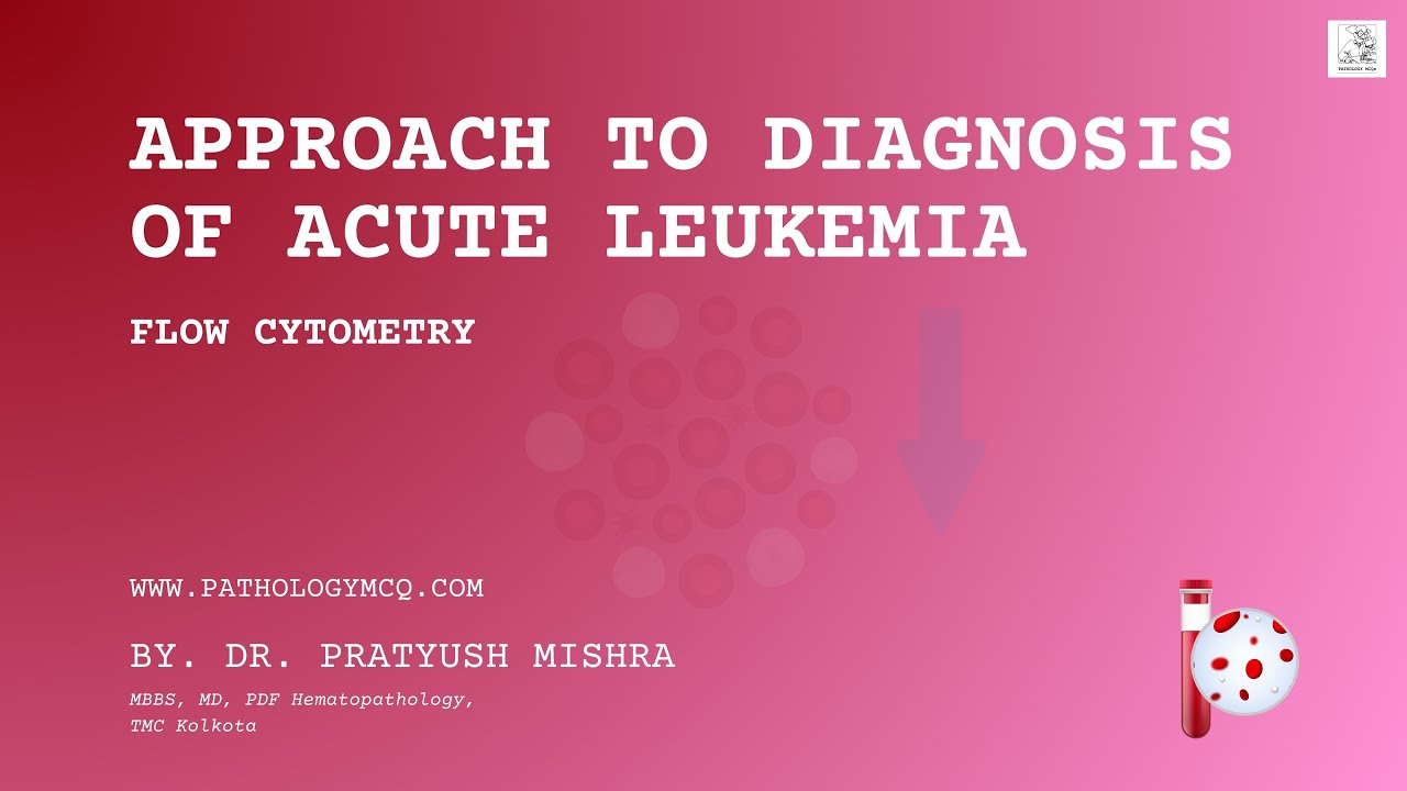 Flow Cytometry Video For Youtube Youtube