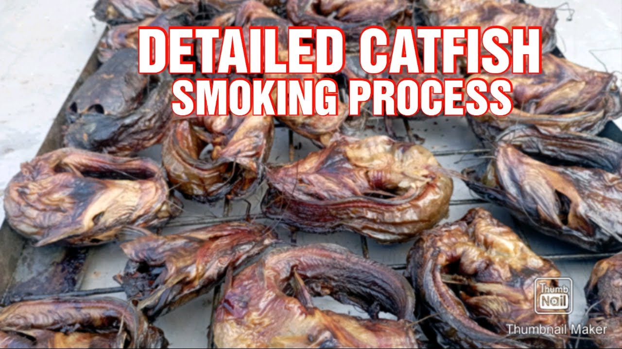 How To Smoke Catfish In The Oven At Lawrence Gooden Blog