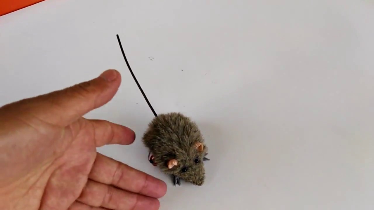 Proyecto Robot Mouse Youtube