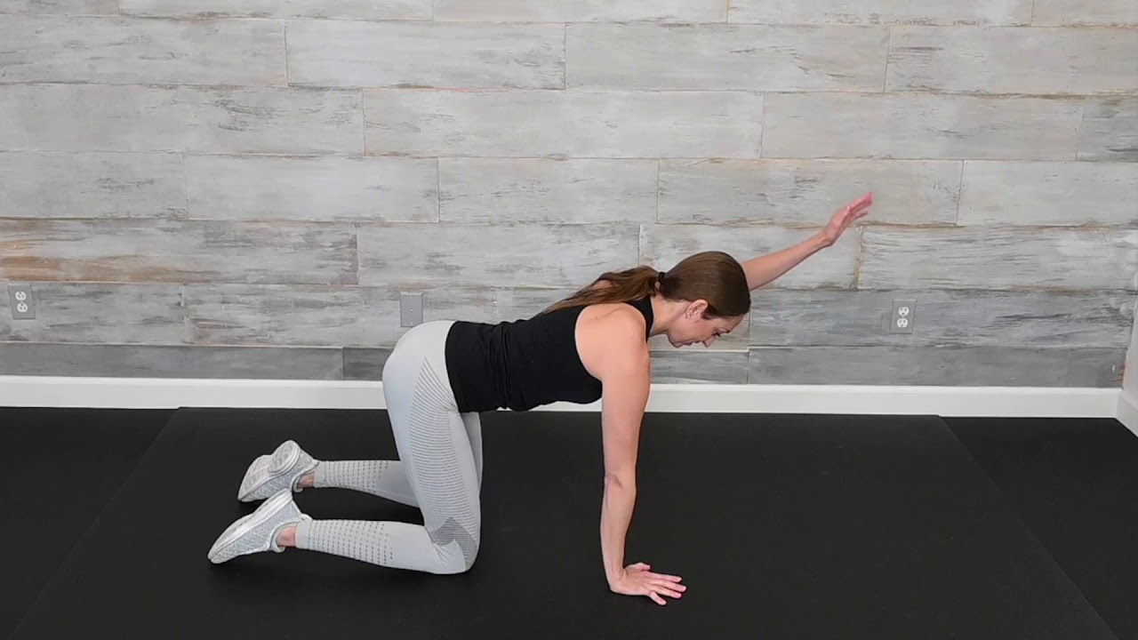 Quadruped Shoulder Flexion Youtube