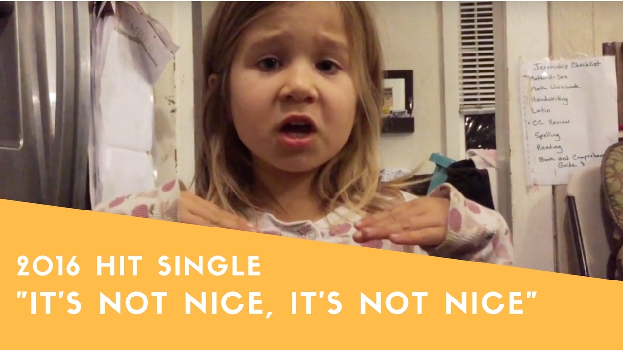 It S Not Nice It S Not Nice 1 Hit Single Of The Year Youtube