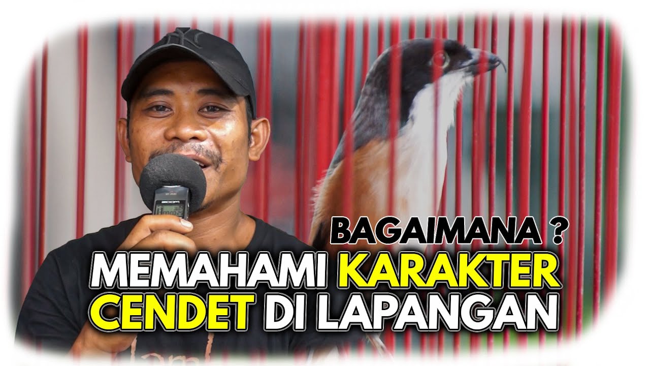 Jangan Remehkan Latberan Youtube