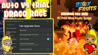 Blox Fruits Script Hack Auto Draco Race V4 Trial Banana Cat Hub Script