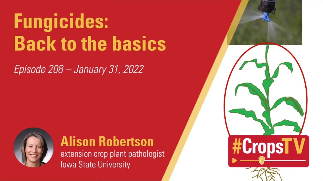 Fungicides Back To The Basics Youtube