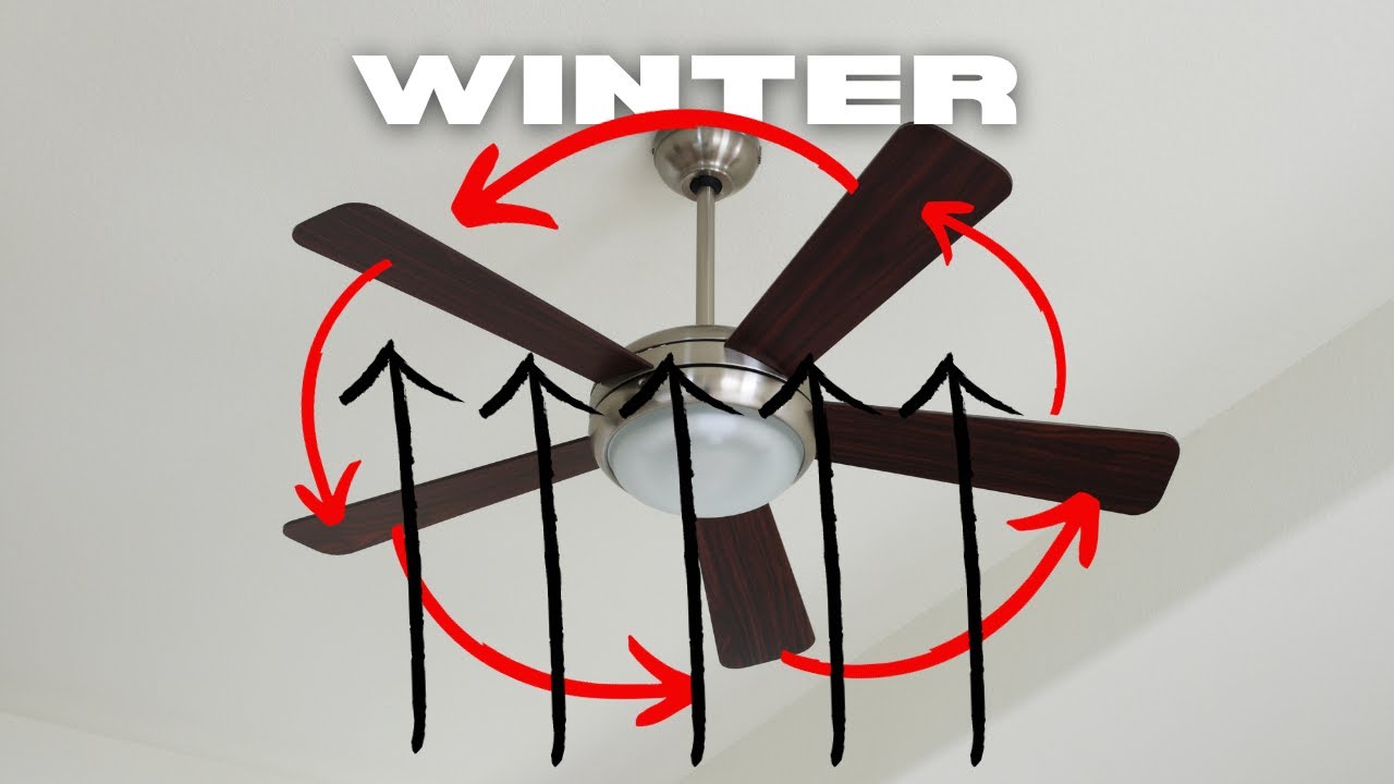 What Direction Should My Ceiling Fan Run In Winter Youtube