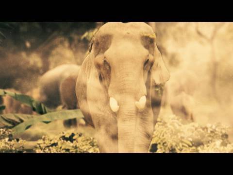 Extinctions The Tv Series Youtube
