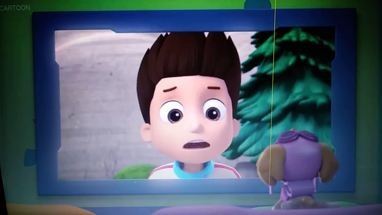 Paw Patrol Skye Scared Of Eagles Youtube