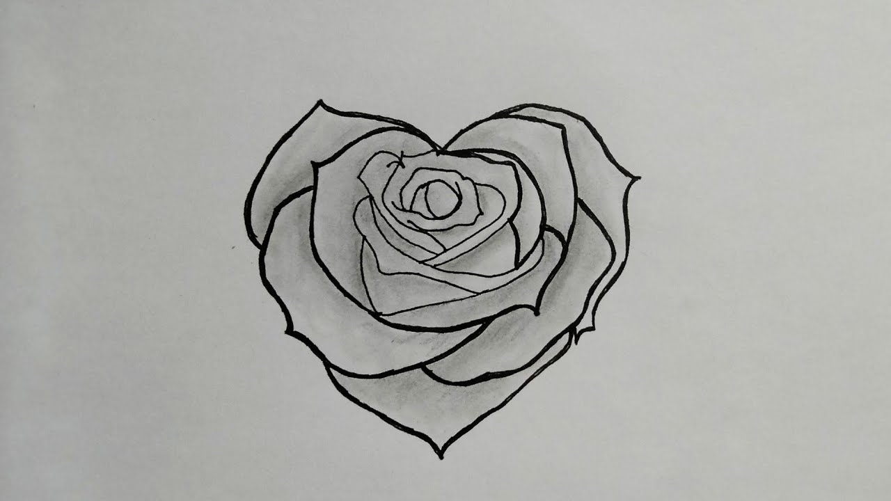 Easy Drawings Of Roses And Hearts In Pencil Rose Drawings Rose