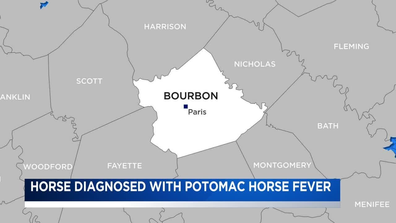 Horse Diagnosed With Potomac Horse Fever Youtube