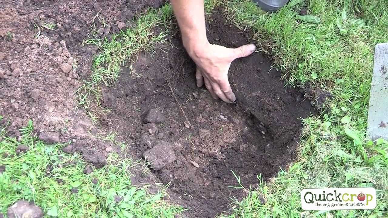 Improving Your Soil Youtube