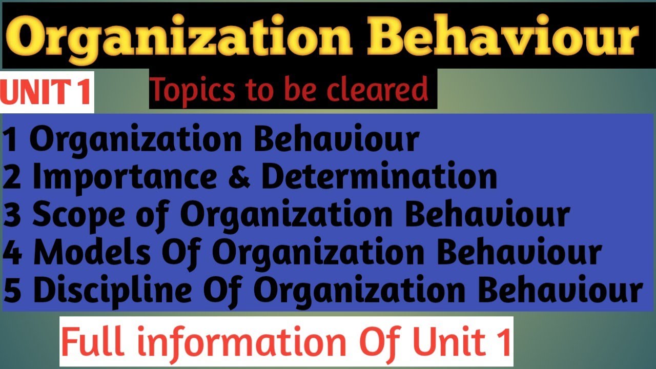 Organization Behaviour Unit 1 Introduction To Organization Behaviour
