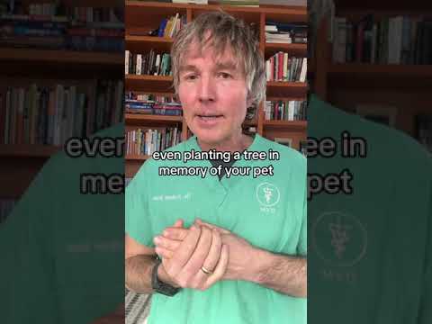 Finding It Hard To Cope With The Loss Of Your Dog Or Cat 5 Steps To