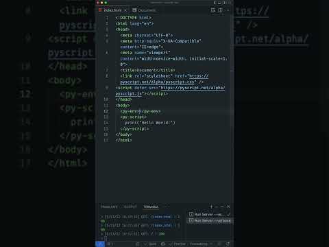 A First Look At Pyscript Youtube