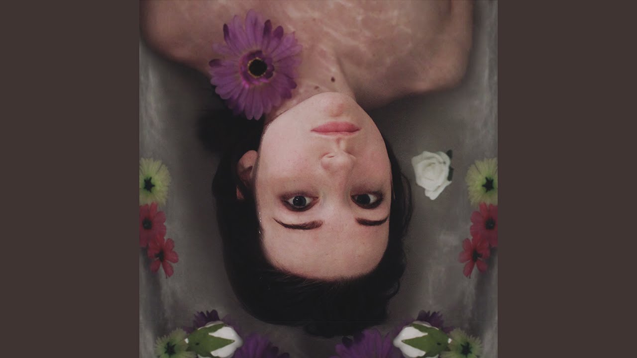 Raphael Youtube Music