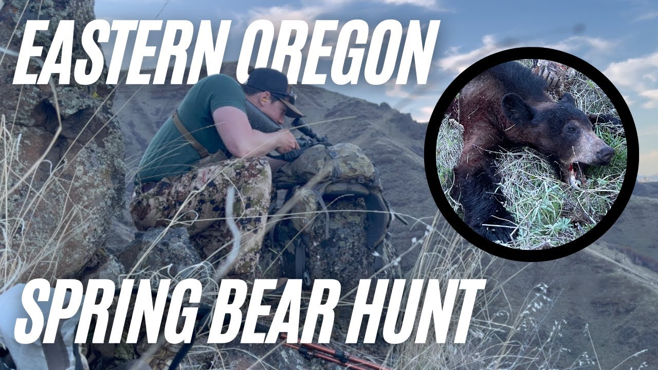 Logan S First Bear 2023 Oregon Spring Bear Hunt Part 1 Youtube