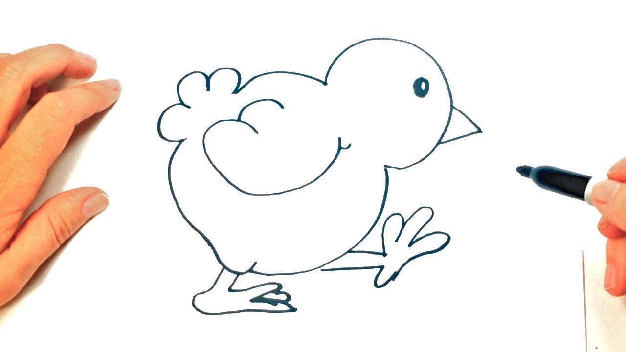 Dibujos De Animales Paso A Paso Para Ninos Find Gallery