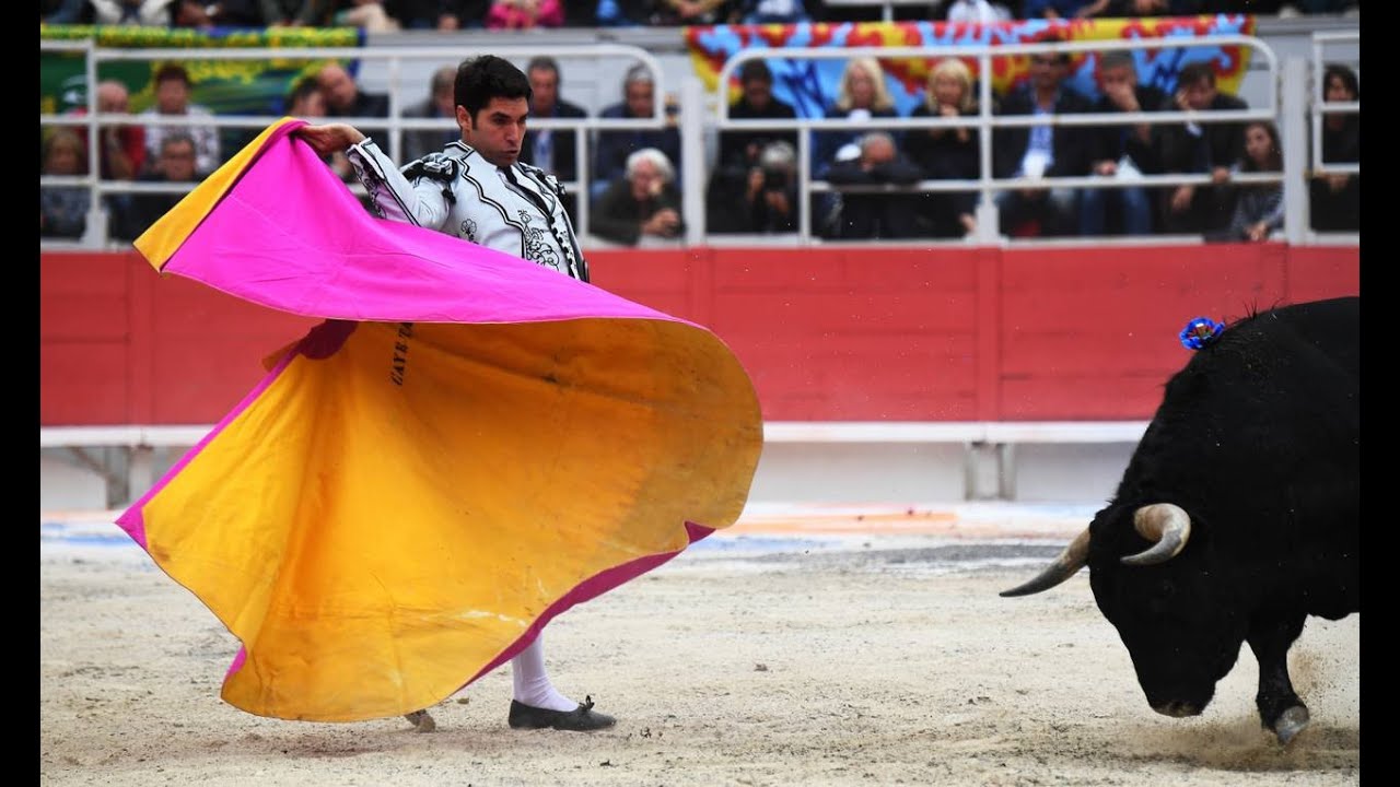 Débat Pour Ou Contre La Corrida Youtube