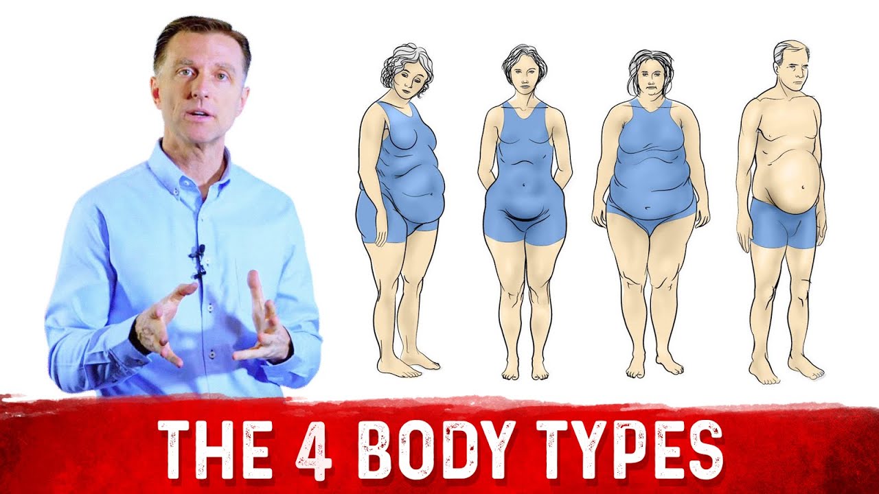 What Are The 4 Body Types Dr Berg Explains Different Body Types