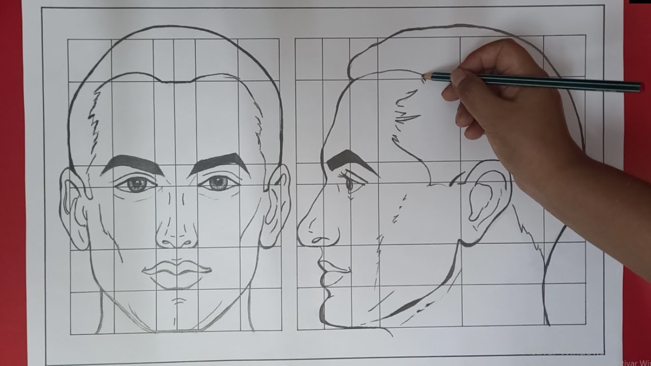 Dibujar Proporciones De Rostro Humano