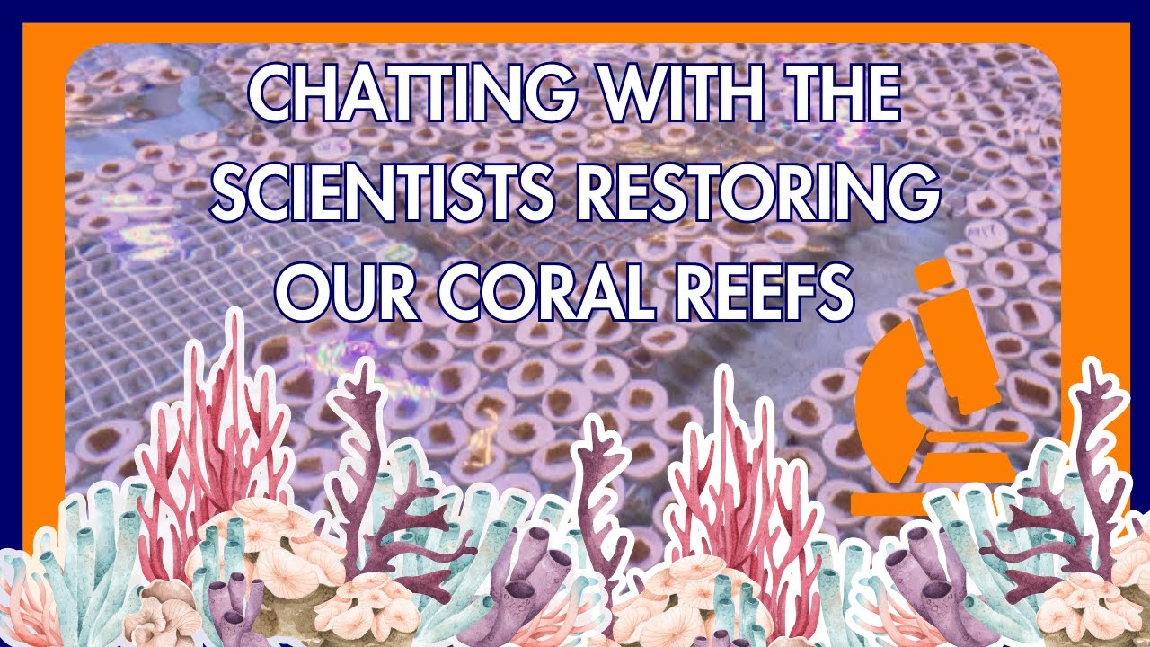 Inside The Florida Keys Lab S Battle To Rescue Coral Reefs Youtube