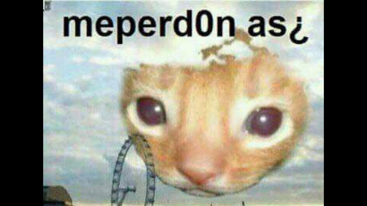 Me Perdonas Meme Youtube