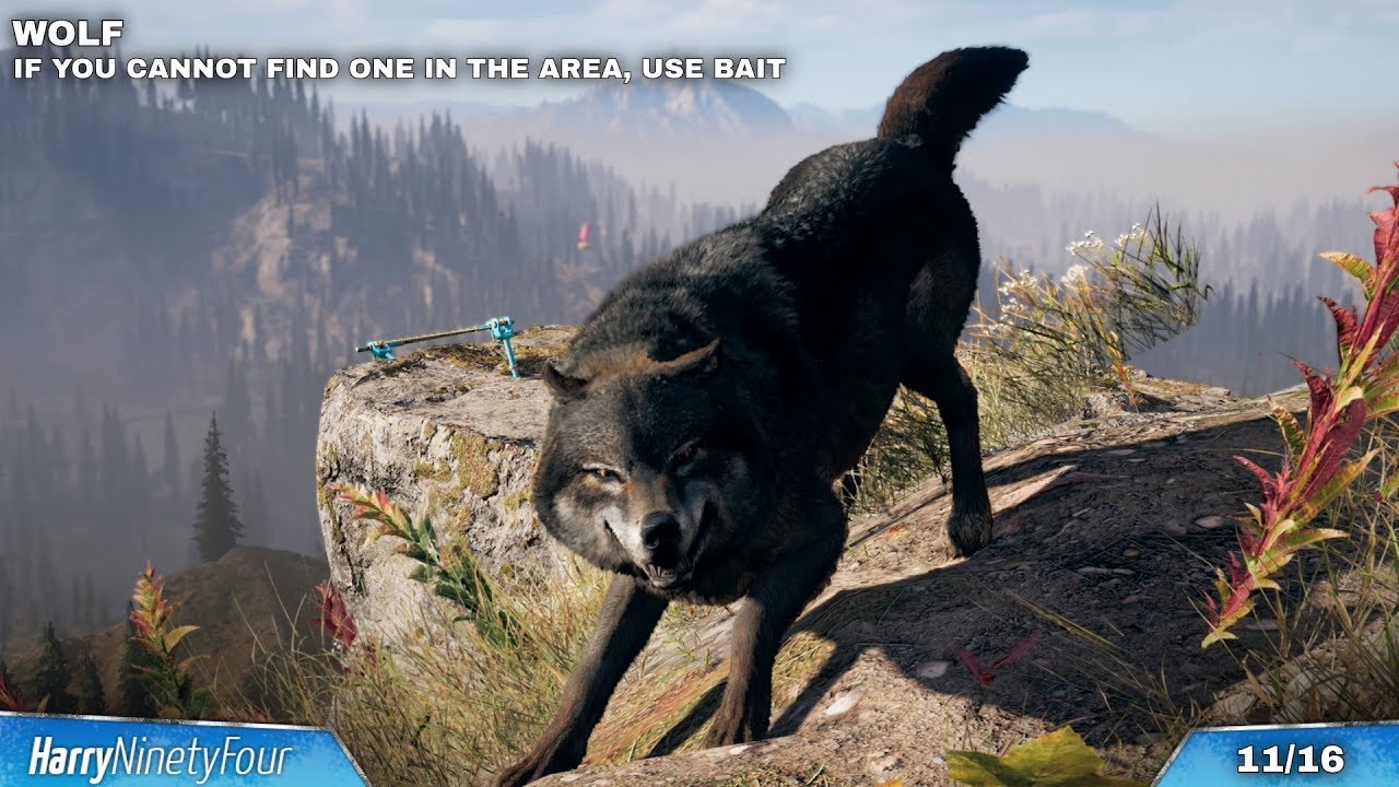 Far Cry 5 All Animal Locations Hunting Challenges Youtube