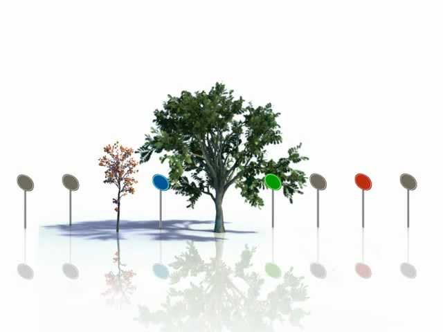 Reference Point Example Setting Your Reference Point Anchoring And